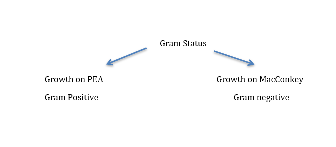 Solved You task is to work on the information below and | Chegg.com