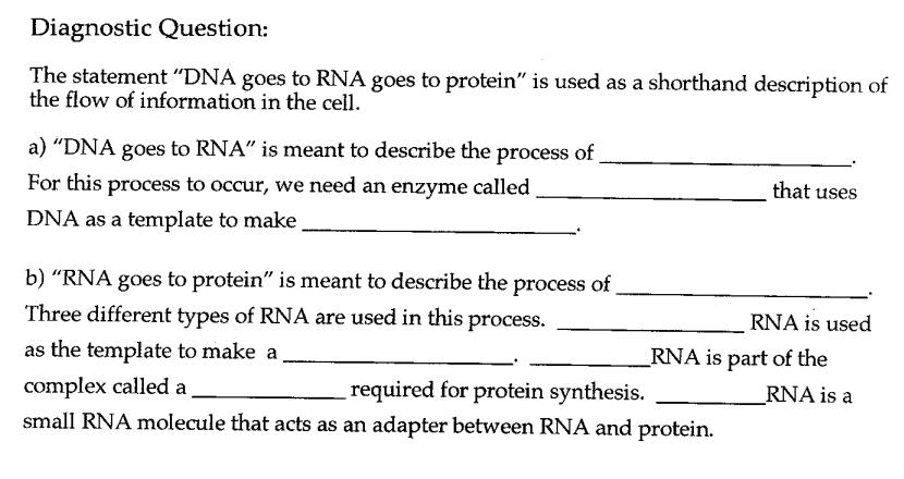 Solved Diagnostic Question: The statement "DNA goes to RNA | Chegg.com