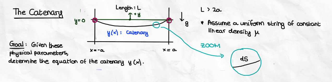 Solved L> za I ty Assume a uniform string of constant The | Chegg.com
