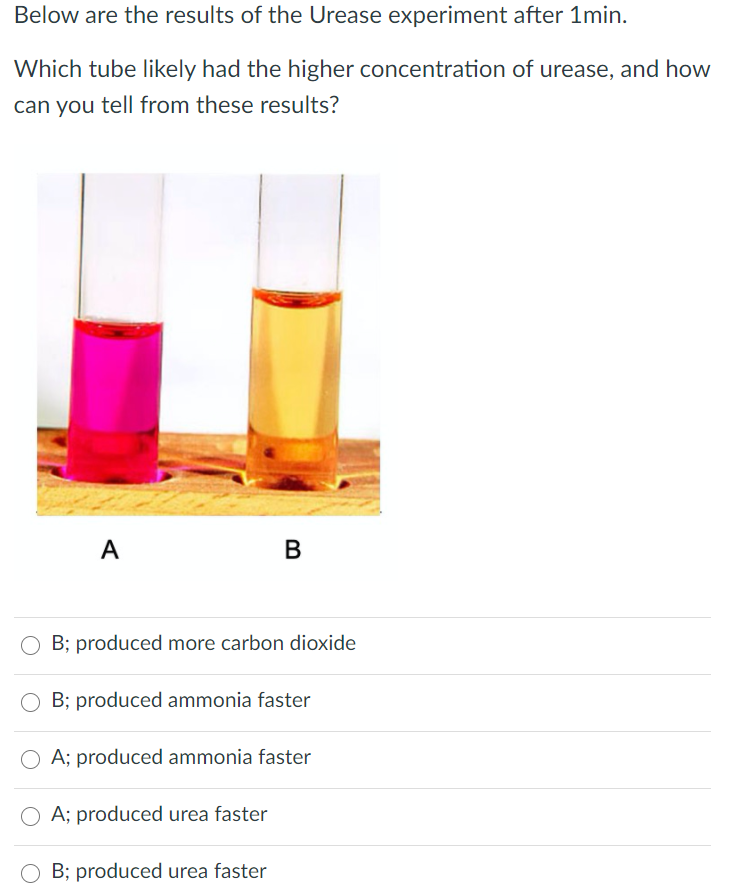 Solved Below are the results of the Urease experiment after | Chegg.com
