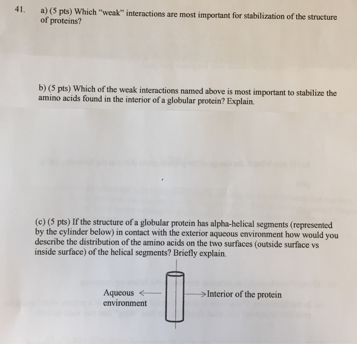 Solved 41. a) (5 pts) Which "weak" interactions are most | Chegg.com