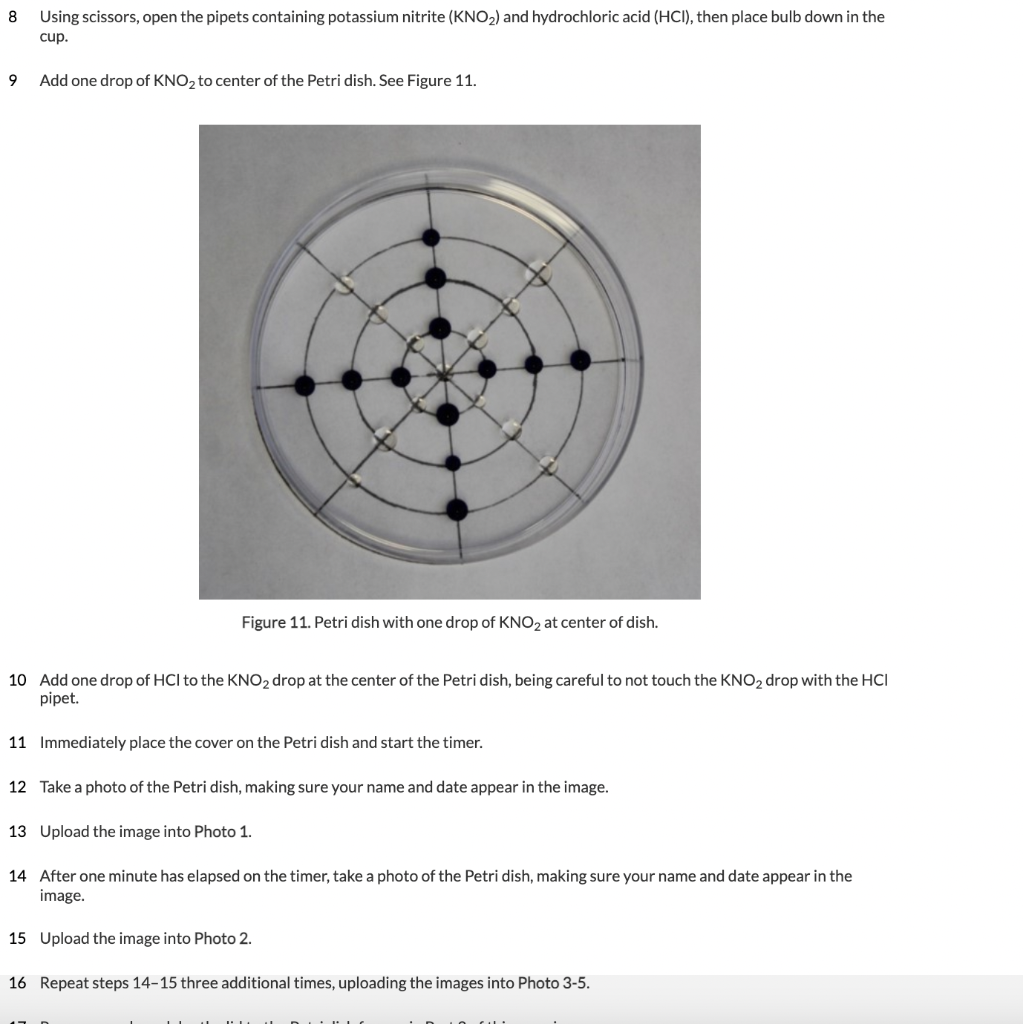 Exercise 1 - Questions 1. Explain how the Petri dish | Chegg.com