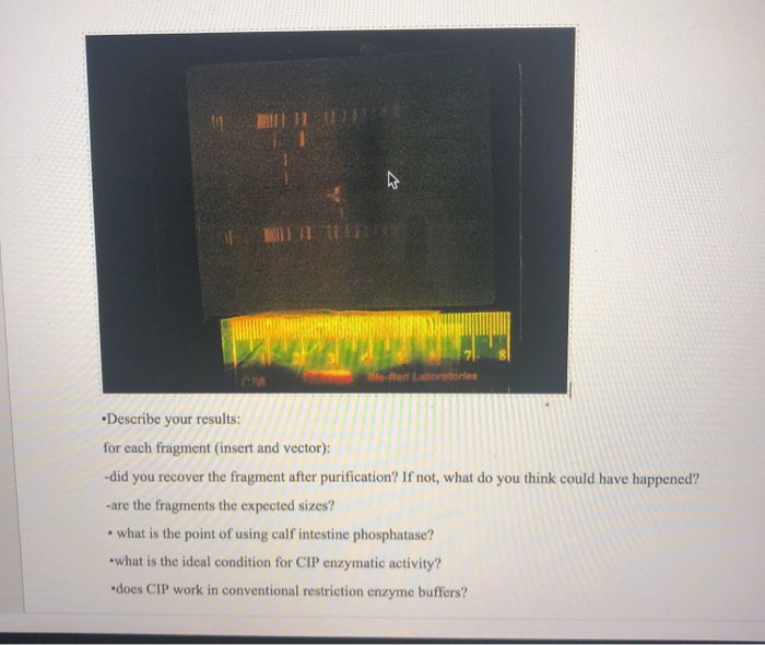 71 8 Describe your results: for each fragment (insert | Chegg.com