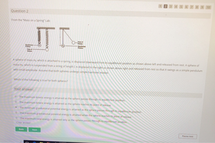 Solved Question 2 From the "Mass on a Spring Lab: ??* A | Chegg.com