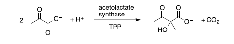 Solved 2 acetolactate synthase TPP | Chegg.com