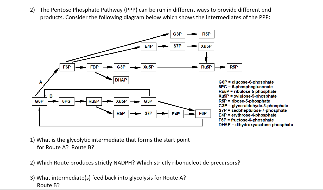 Solved Biochemistry question The Pentose Phosphate Pathway | Chegg.com