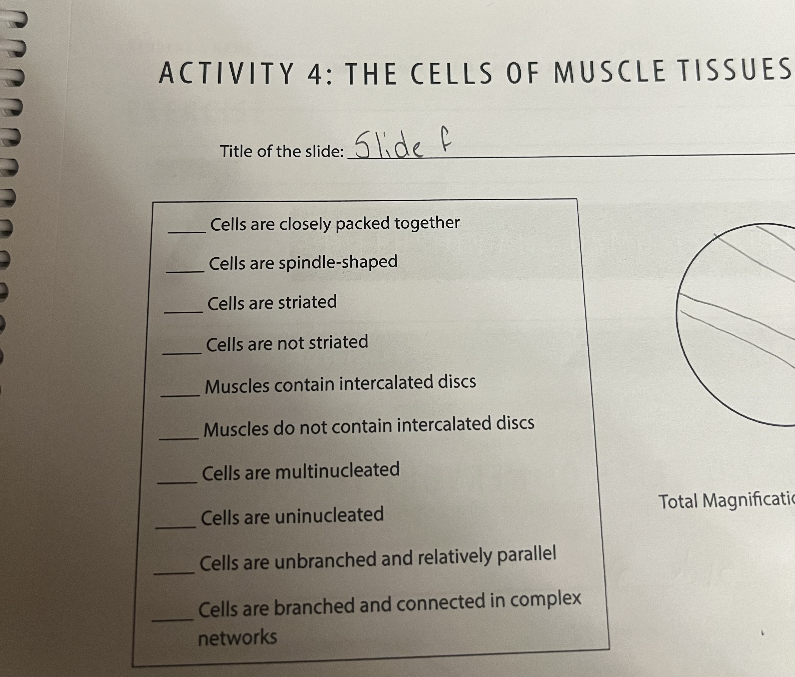 Solved ACTIVITY 4: THE CELLS OF MUSCLE TISSUES Title of the | Chegg.com