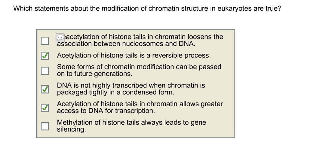 Solved Which statements about the modification of chromatin | Chegg.com