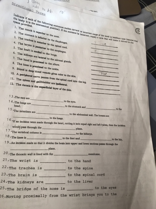 Solved Indicate if each of the following sentences makes | Chegg.com