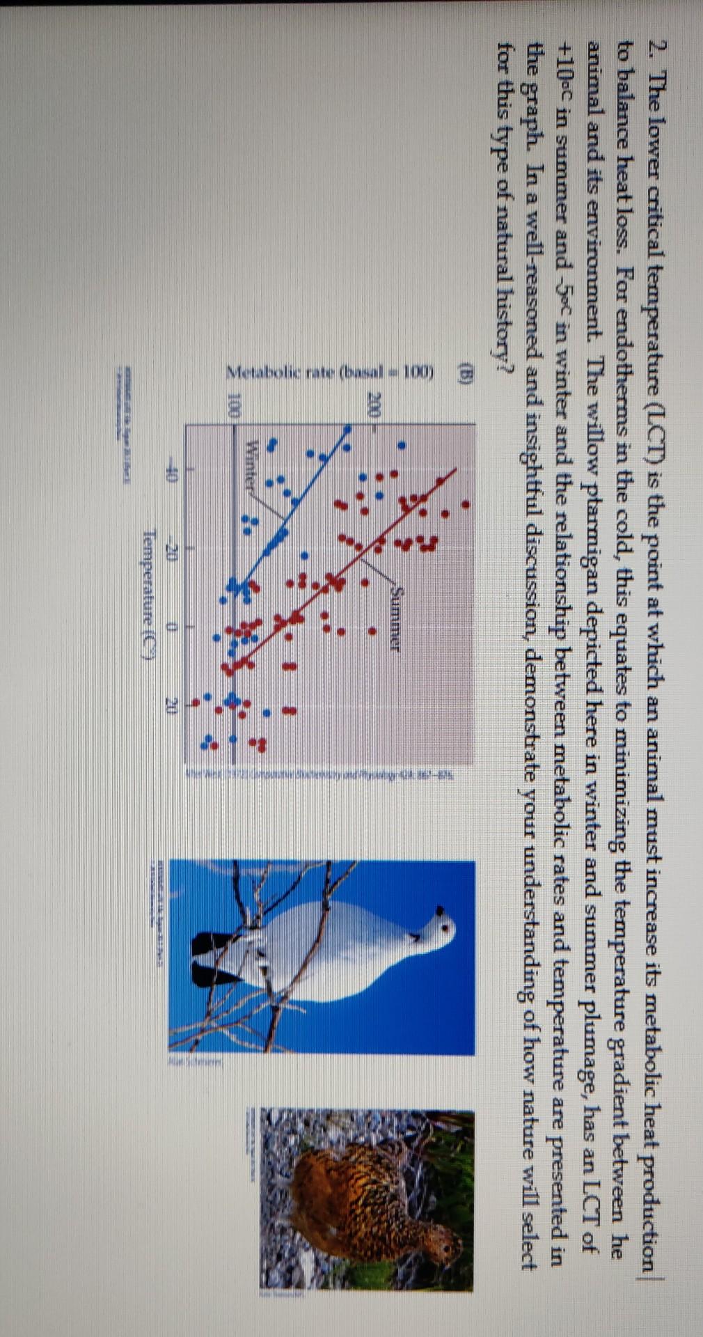 Solved 2. The lower critical temperature (LCT) is the point | Chegg.com