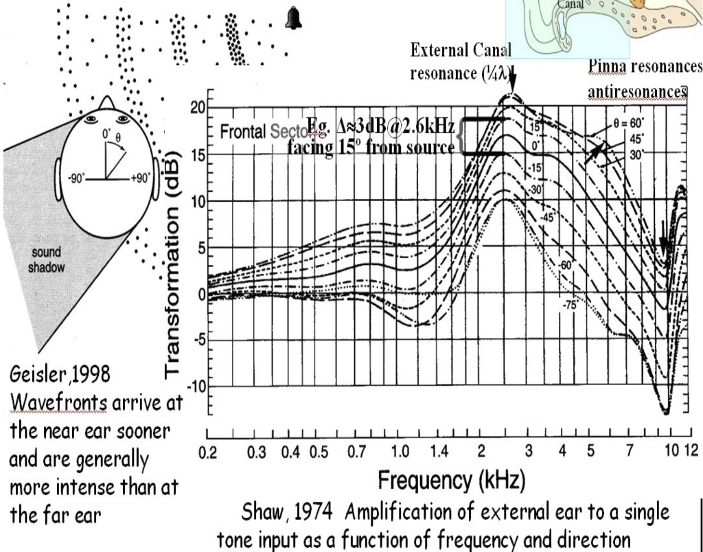 Solved A person's ear is measured to have a middle ear | Chegg.com