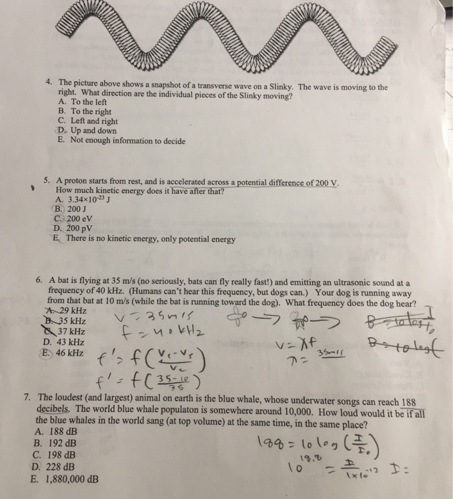 Transverse Wave Slinky