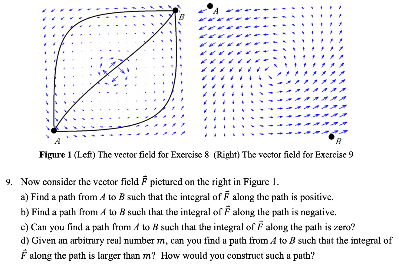 Solved Figure 1 (Left) The vector field for Exercise 8 | Chegg.com