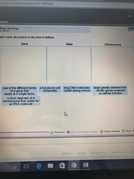 Solved Match Each Description To The Term It Defines 