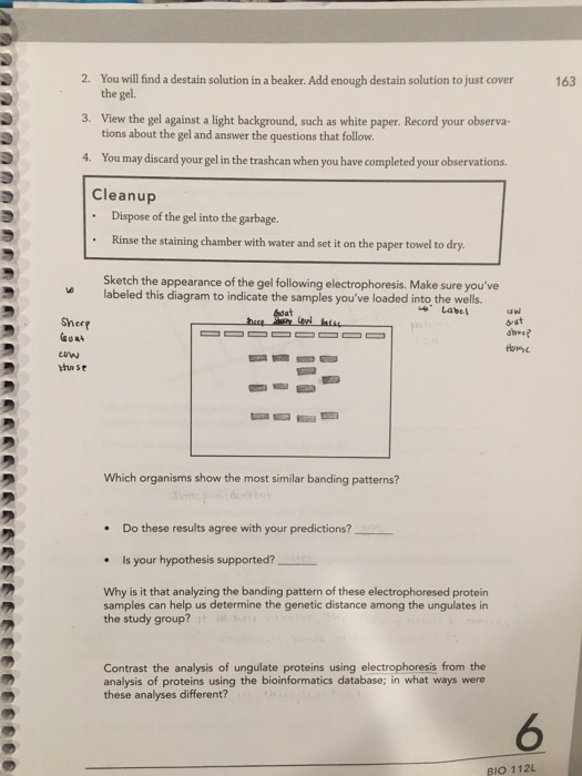 Solved Procedure In this activity, you will learn to access | Chegg.com