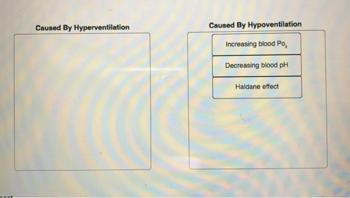 Solved Caused By Hypoventilation Increasing blood Po, | Chegg.com