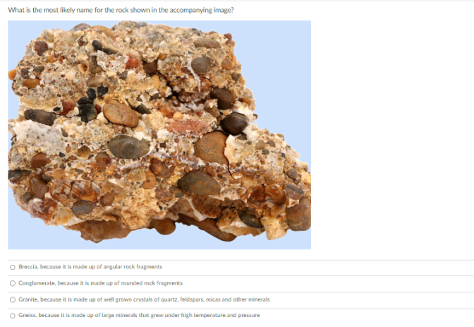 Solved What is the most likely name for the rock shown in | Chegg.com