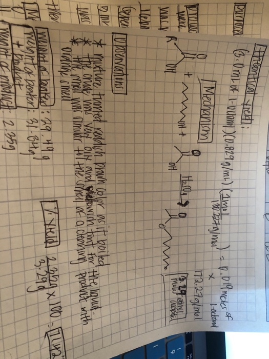 Solved Label the Ir spectrum for the ester synthesis lab. | Chegg.com