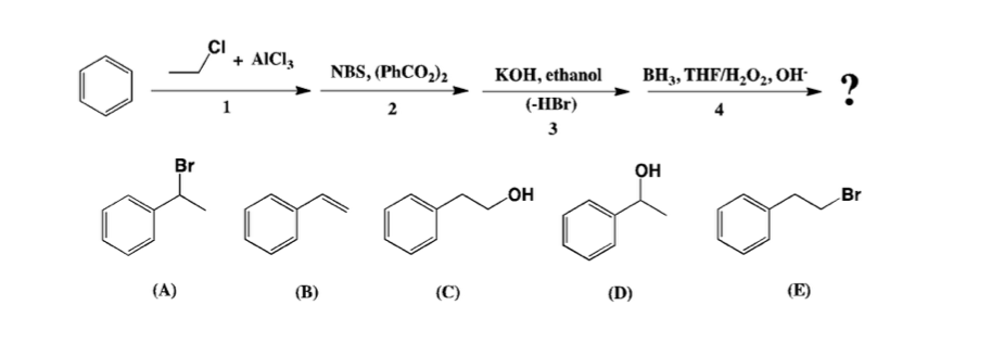 Solved AICI: NBS, (PhCO2)2 BH), THF/H,02, OH' KOH, ethanol | Chegg.com