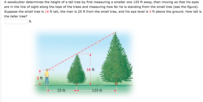 Solved A woodcutter determines the height of a tall tree by | Chegg.com