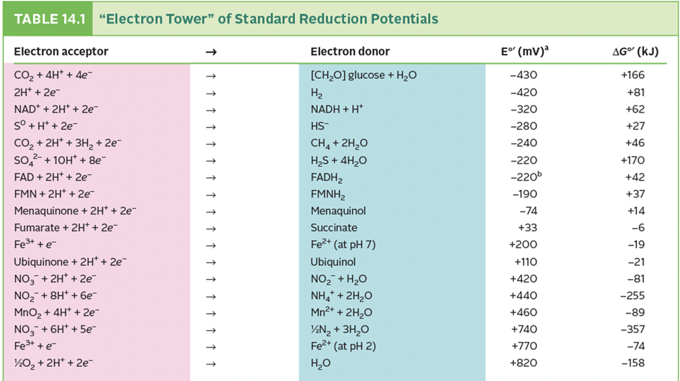 Solved Calculate the amount of energy a cell could get | Chegg.com