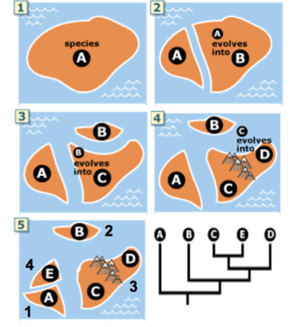Solved Below is a cartoon depicting various geological | Chegg.com