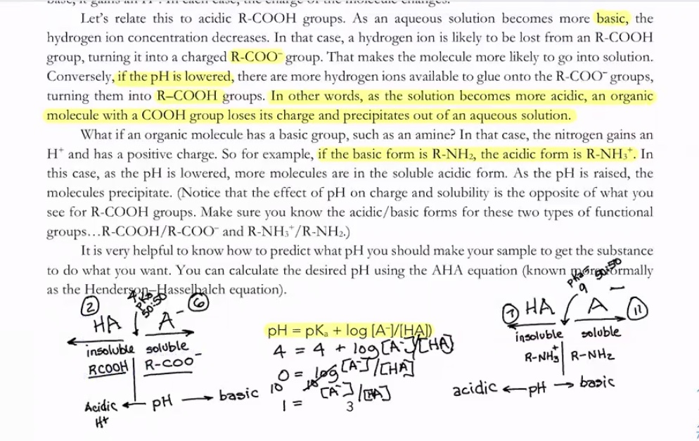 Solved Let's relate this to acidic R-COOH groups. As an | Chegg.com