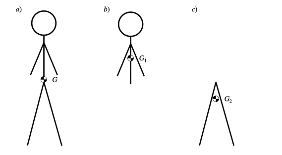 Solved The person is jumping vertically, the jump can be | Chegg.com