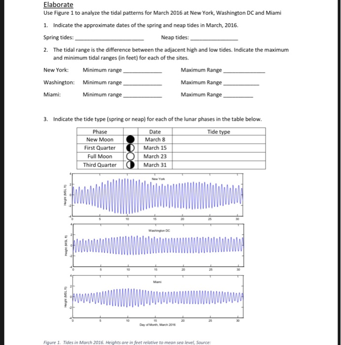 Solved Elaborate Use Figure 1 to analyze the tidal patterns | Chegg.com