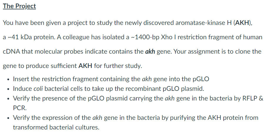 Solved The Project You have been given a project to study | Chegg.com