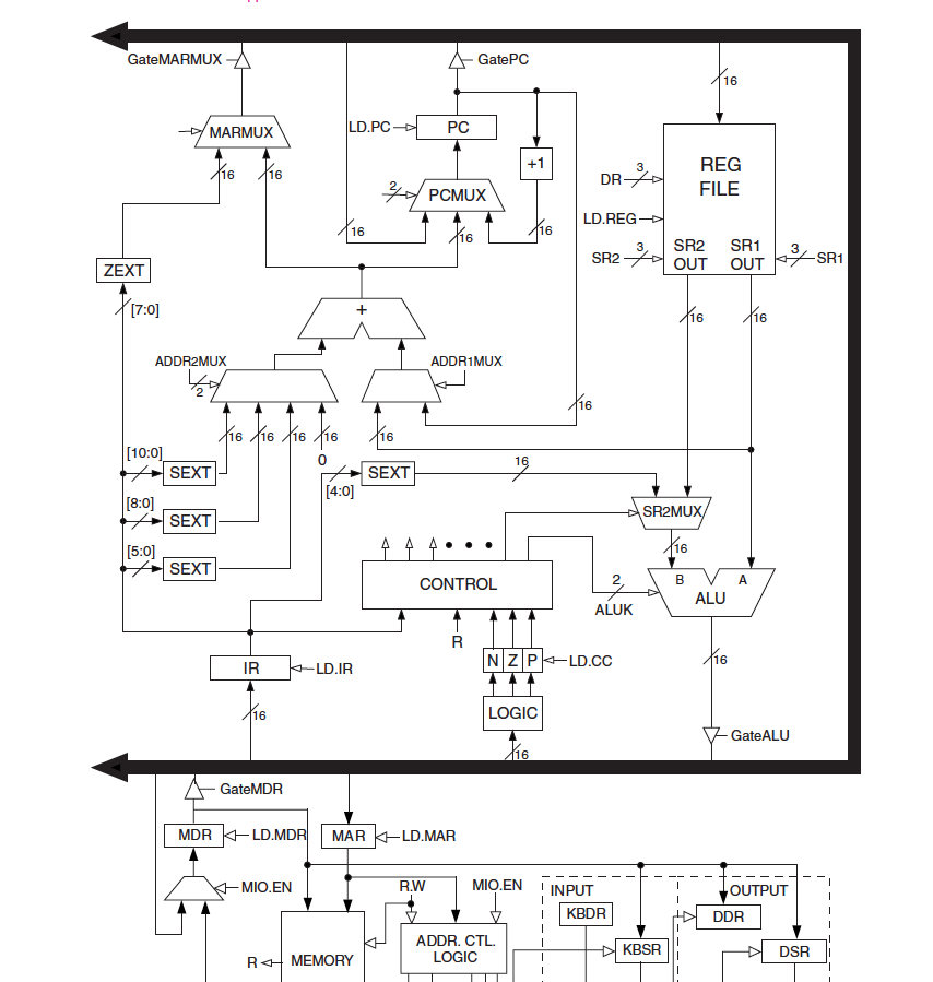 (15 Points) Explain what happens in each phase of | Chegg.com