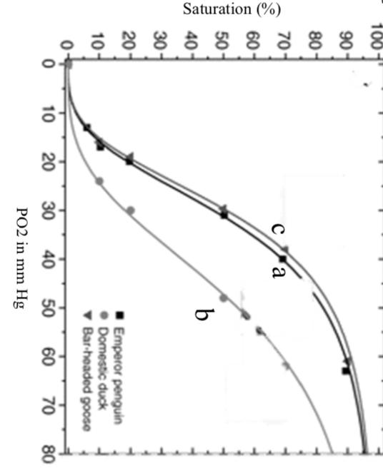 Solved 1. which bird would have the best oxygen supply | Chegg.com