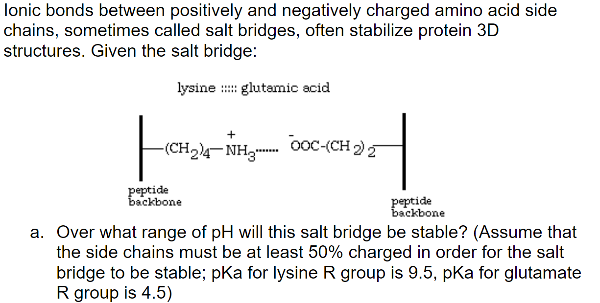 Lysine Charged