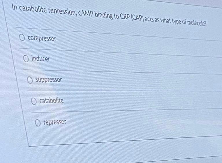 Solved In catabolite repression, cAMP binding to CRP (CAP) | Chegg.com