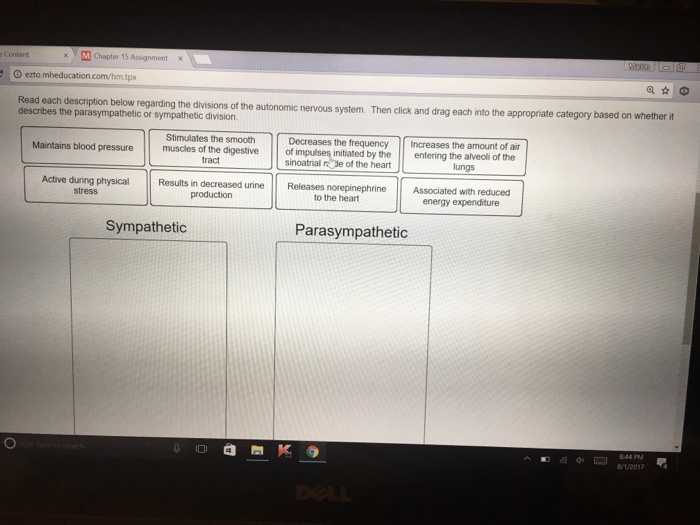 Solved Read each description below regarding the divisions | Chegg.com
