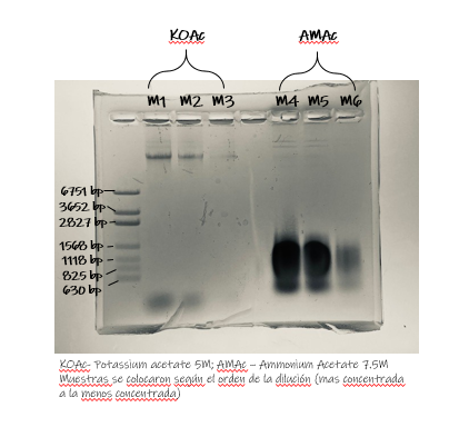 Solved 1. Migration distance data and measurements - Measure | Chegg.com