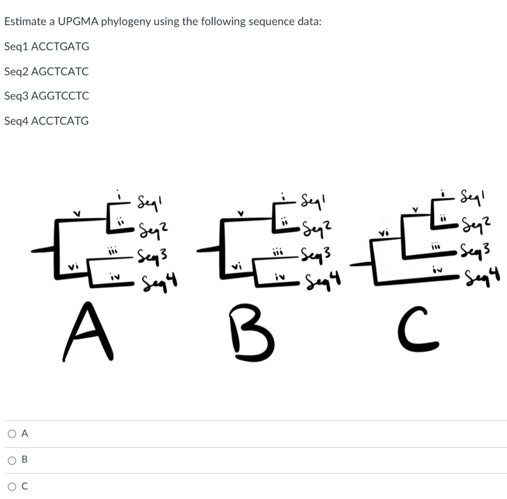 Monotremata Didelphis virginiana Mammalia Metatheria | Chegg.com