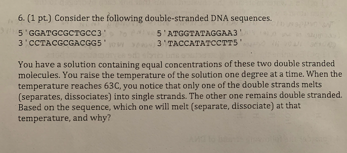 Solved 6.(1 pt.) Consider the following double-stranded DNA | Chegg.com
