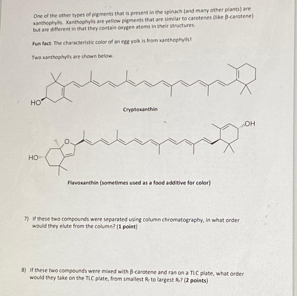 Solved One of the other types of pigments that is present in | Chegg.com