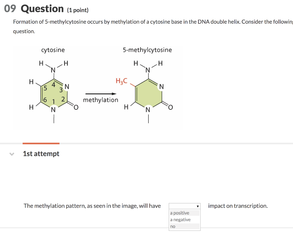 Solved 09 Question (1 point) Formation of 5-methylcytosine | Chegg.com