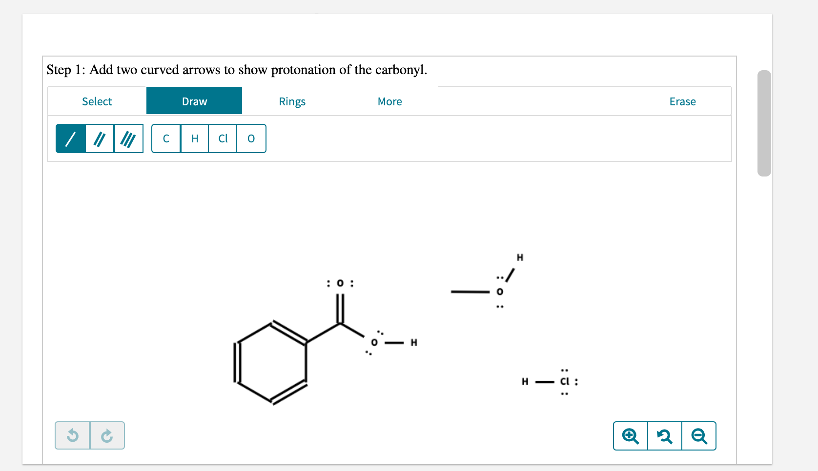Solved The Fischer esterification mechanism is examined in | Chegg.com