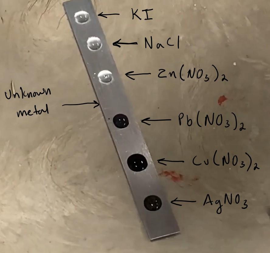 Solved The Unknown metal is one of the metals labeled down | Chegg.com