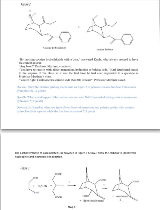 Solved Questions on cocaine freebase and cocaine | Chegg.com