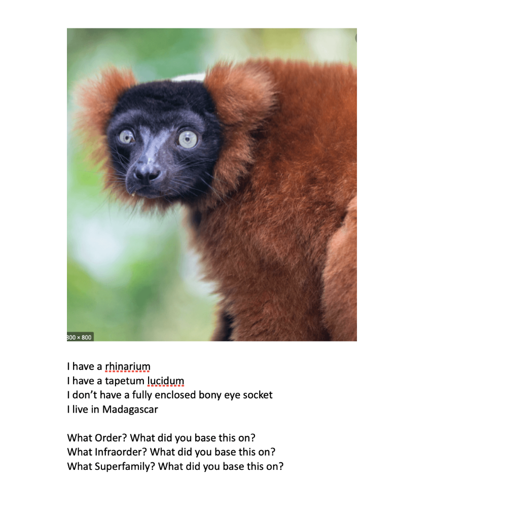 Solved I have a rhinarium I have a tapetum lucidum I don’t | Chegg.com