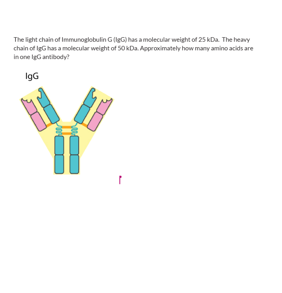 Solved The light chain of Immunoglobulin G (IgG) has a | Chegg.com