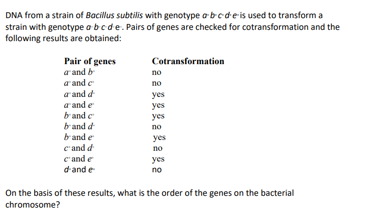 Solved DNA from a strain of Bacillus subtilis with genotype | Chegg.com