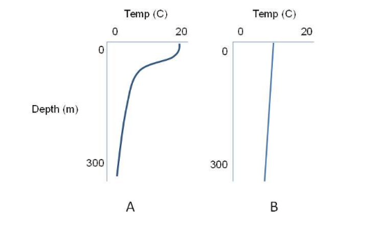 Solved Now the hard part...Choose which graph (A or B) ﻿that | Chegg.com