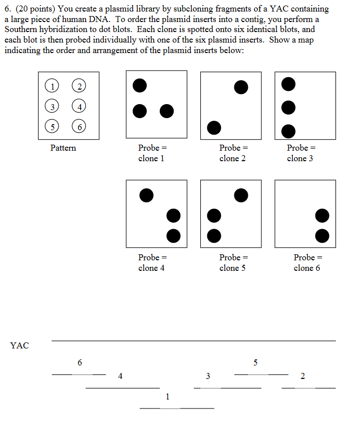 Solved The black circle dots are given, and the order below | Chegg.com