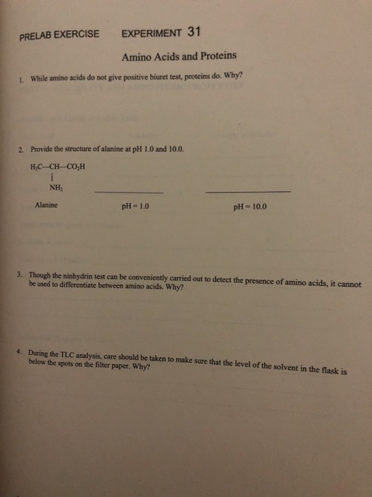 Solved PRELAB EXERCISE EXPERIMENT 31 Amino Acids and | Chegg.com
