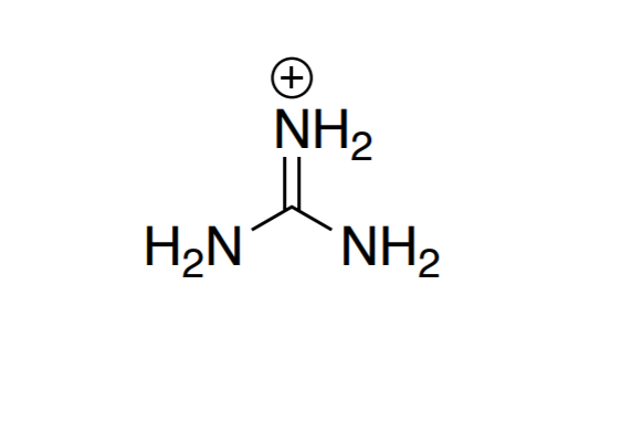 Solved NH2 ΝΗ NH2 (+) | Chegg.com